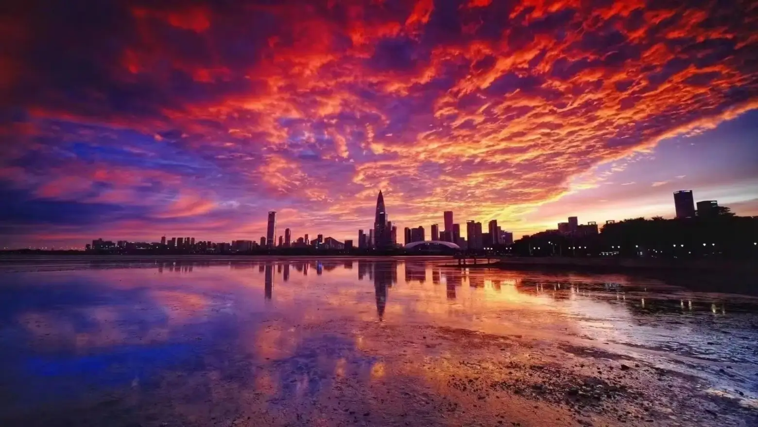 EWWW Image Optimizer 图文设置教程【2025年最新】优化网站图片提高加载速度 | 虎先生